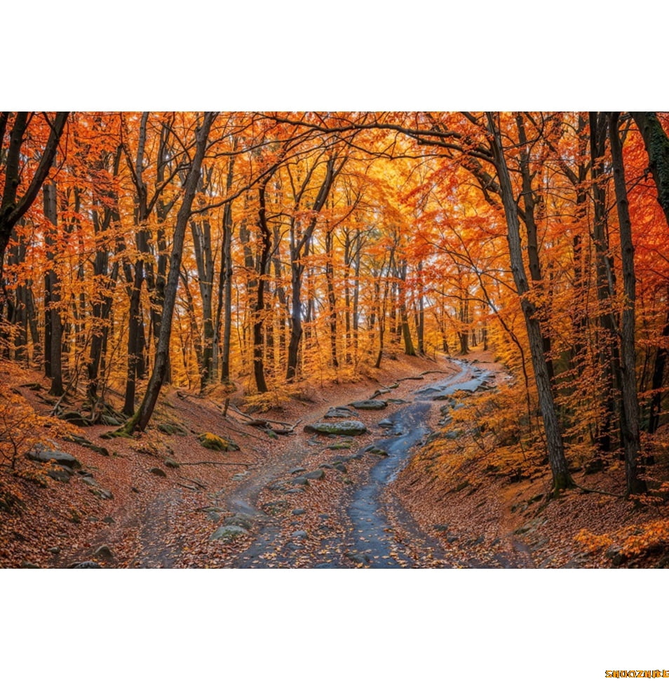 Autumn Natural Scery Photography Backdrop Forest Plain Landscape ...