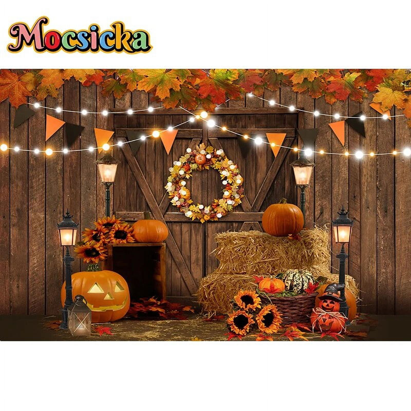 Autumn Nature Scenery Photography Background Window Wooden Door Barn ...