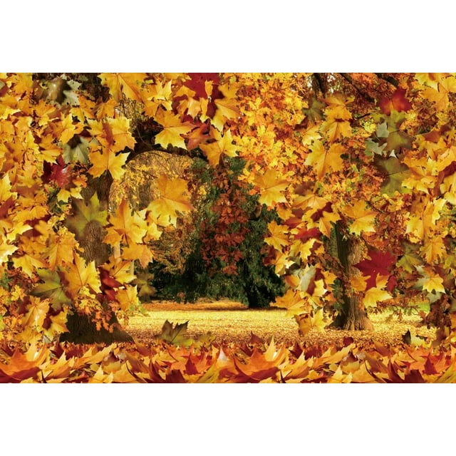 Autumn Outdoor Forest Park Backdrop Fall Maple Leaves Mountain Scenery ...