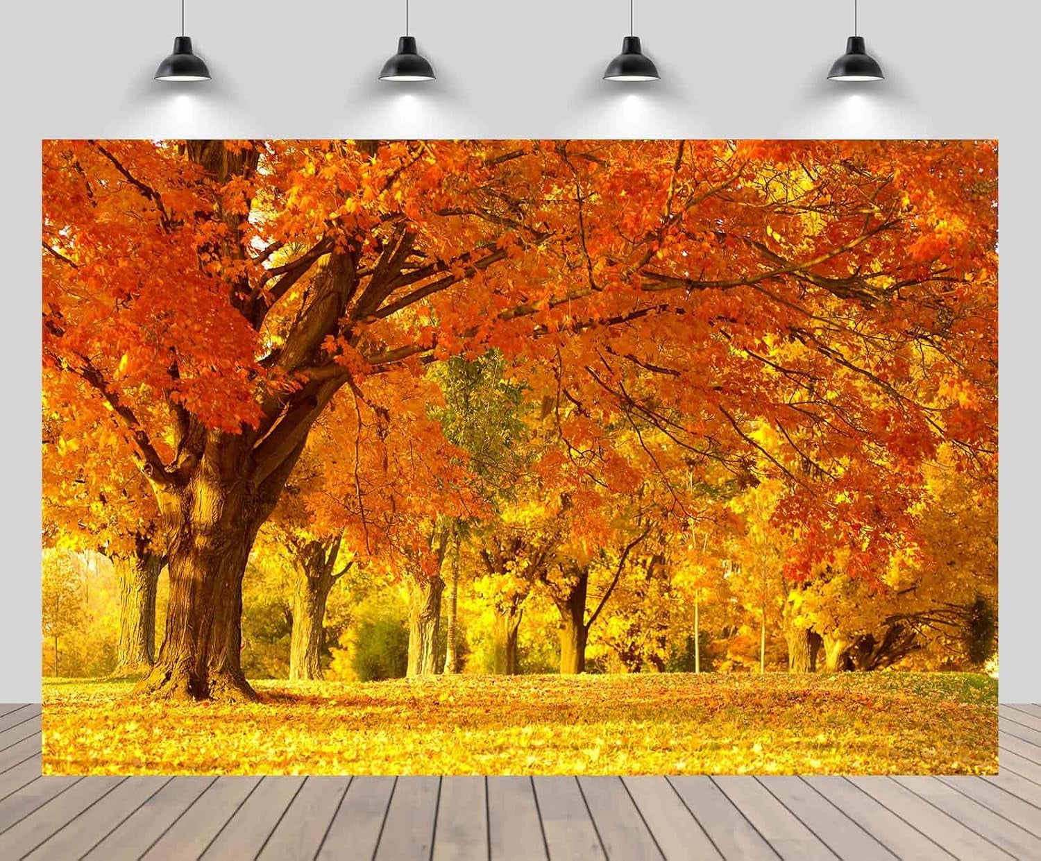 Autumn Park Beautiful Backdrop Red Maple Tree Fall Season Forest ...