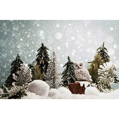 Autumn Photo Studio Background Thanksgiving Gard Fce Flower Backdrop ...