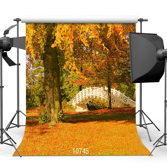Autumn Photography Backdrops Fallen leaves Old Tree Bridge Sunny ...