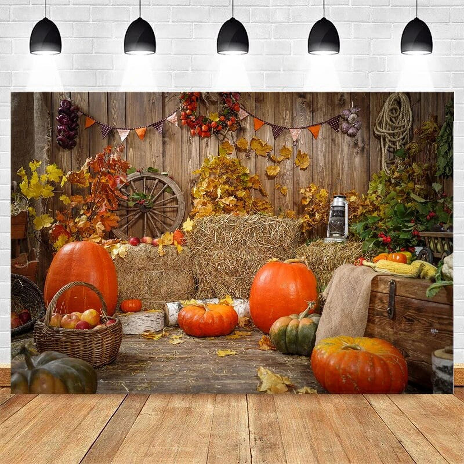Autumn Pumpkin Background Photography Farm Barn Backdrops for ...