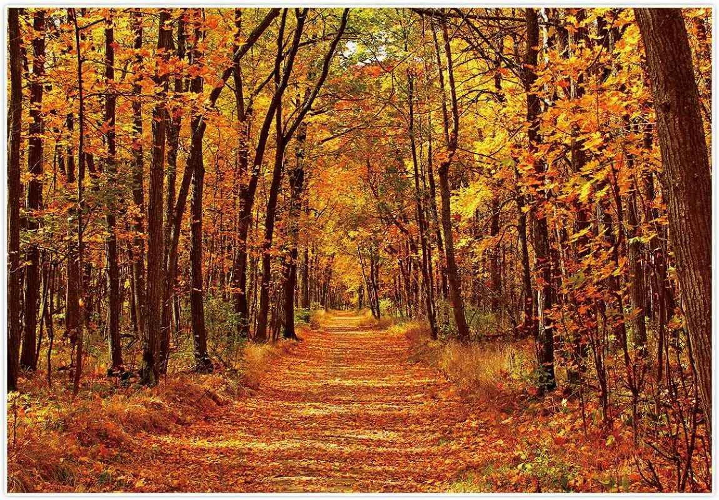 Autumn Scenery Deciduous Backdrop Mountain Road Photography Background ...