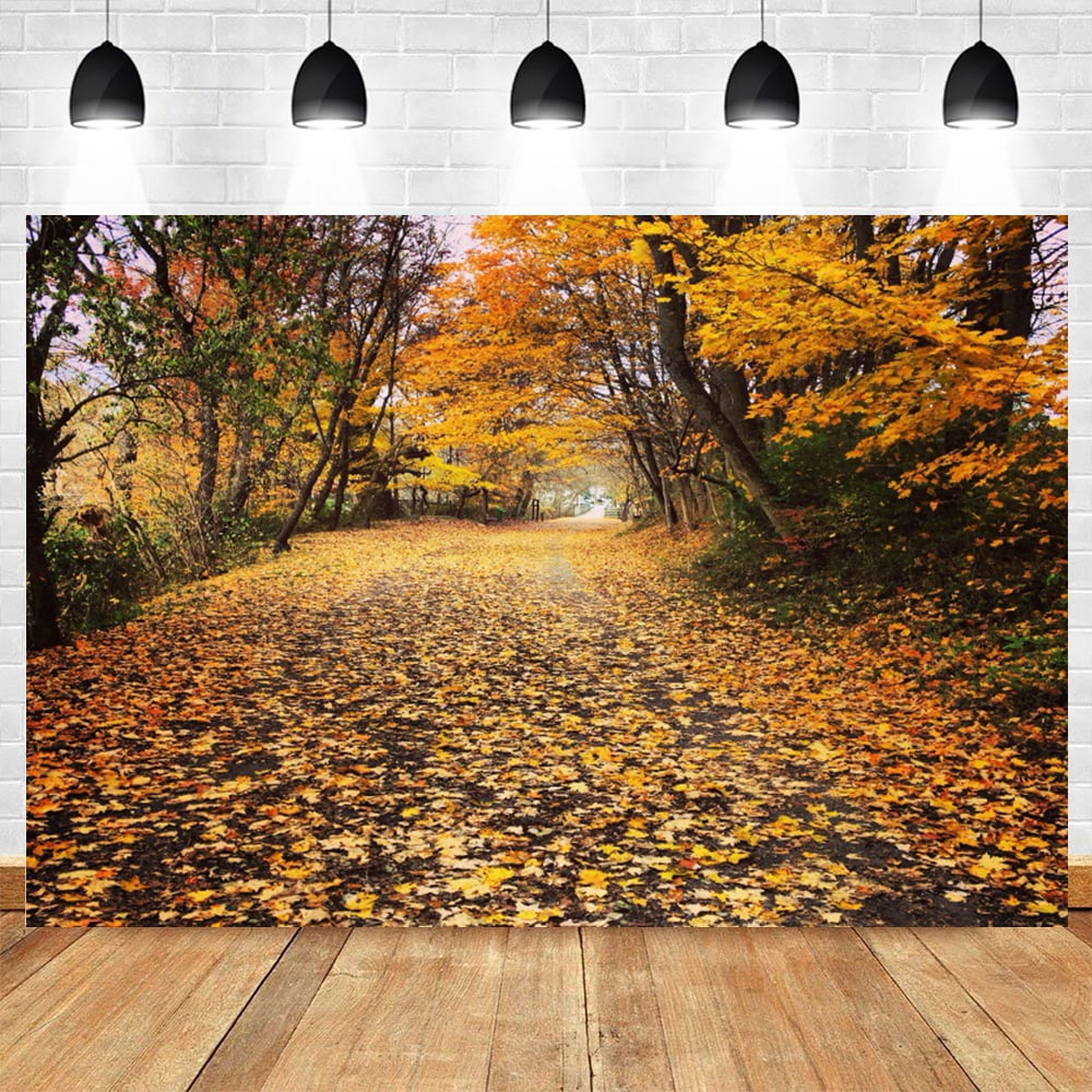 Autumn Scenery Deciduous Photo Background Fall Mountain Road Forest ...