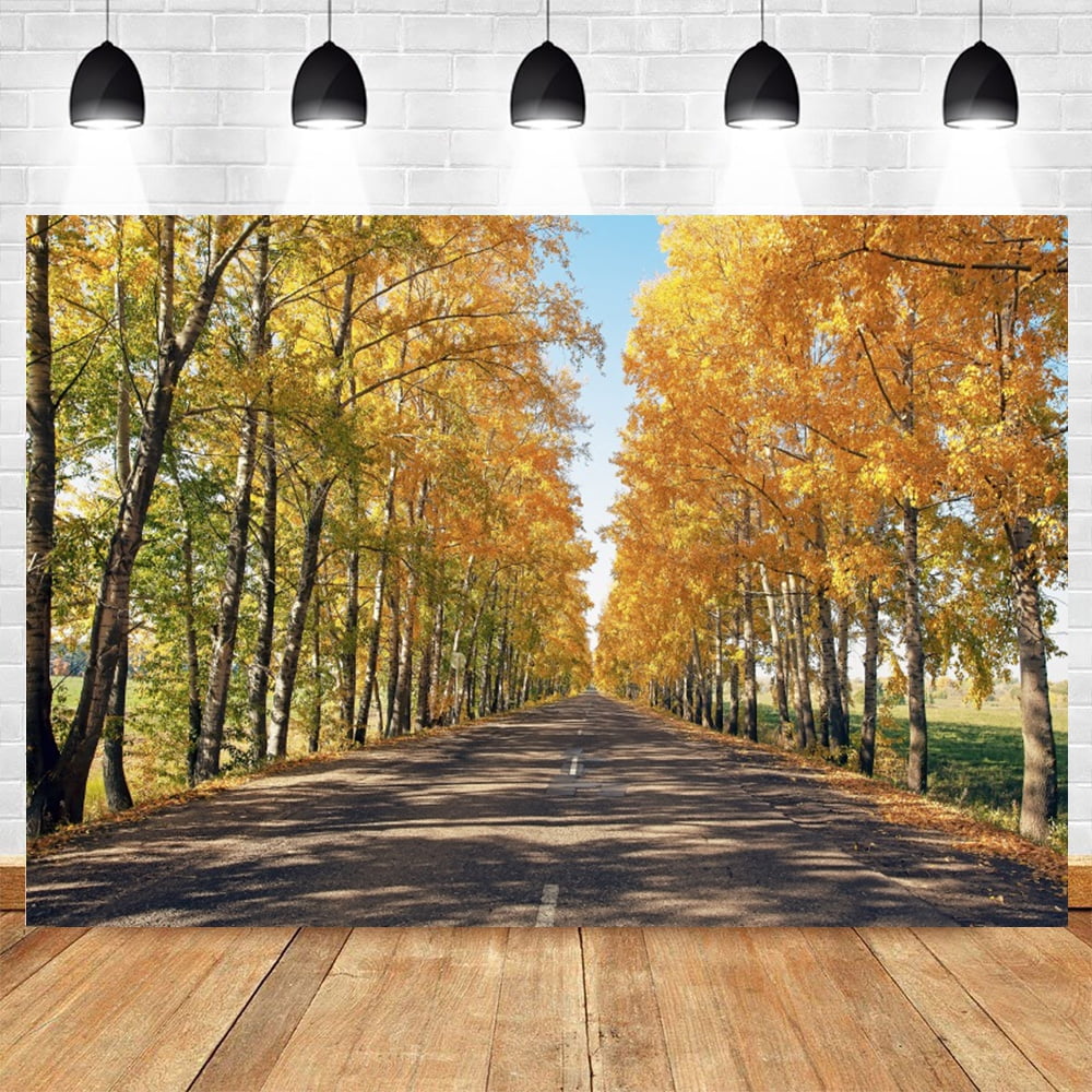 Autumn Scenery Deciduous Photo Background Fall Mountain Road Forest ...