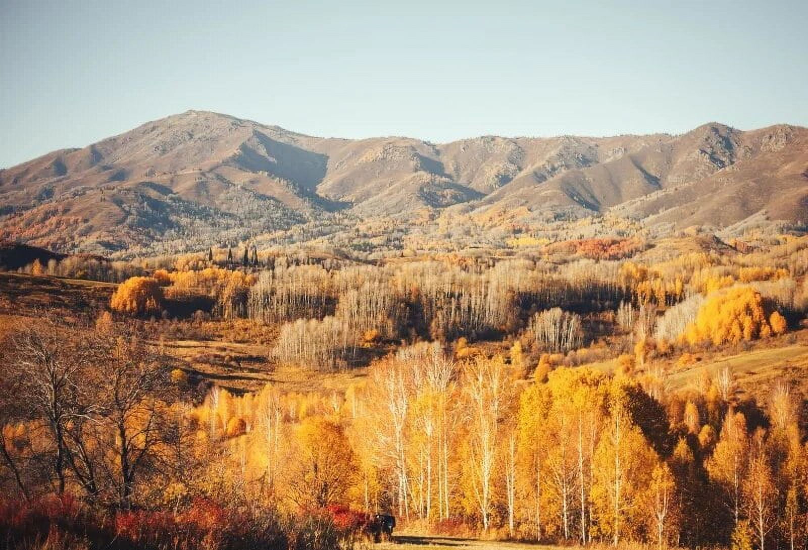Autumn Scenery Mountain Photography Backdrop Sunrise Fall Woods ...
