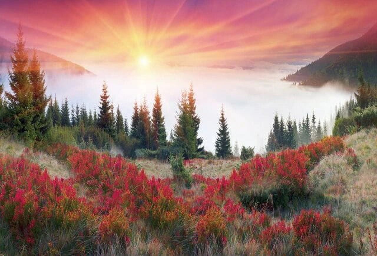 Autumn Scenery Mountain Photography Backdrop Sunrise Fall Woods ...