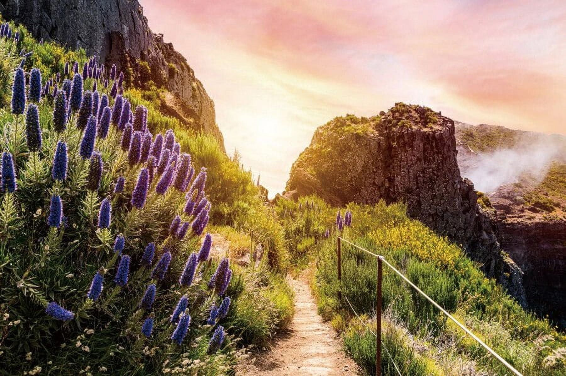 Autumn Scenery Mountain Photography Backdrop Sunrise Fall Woods ...