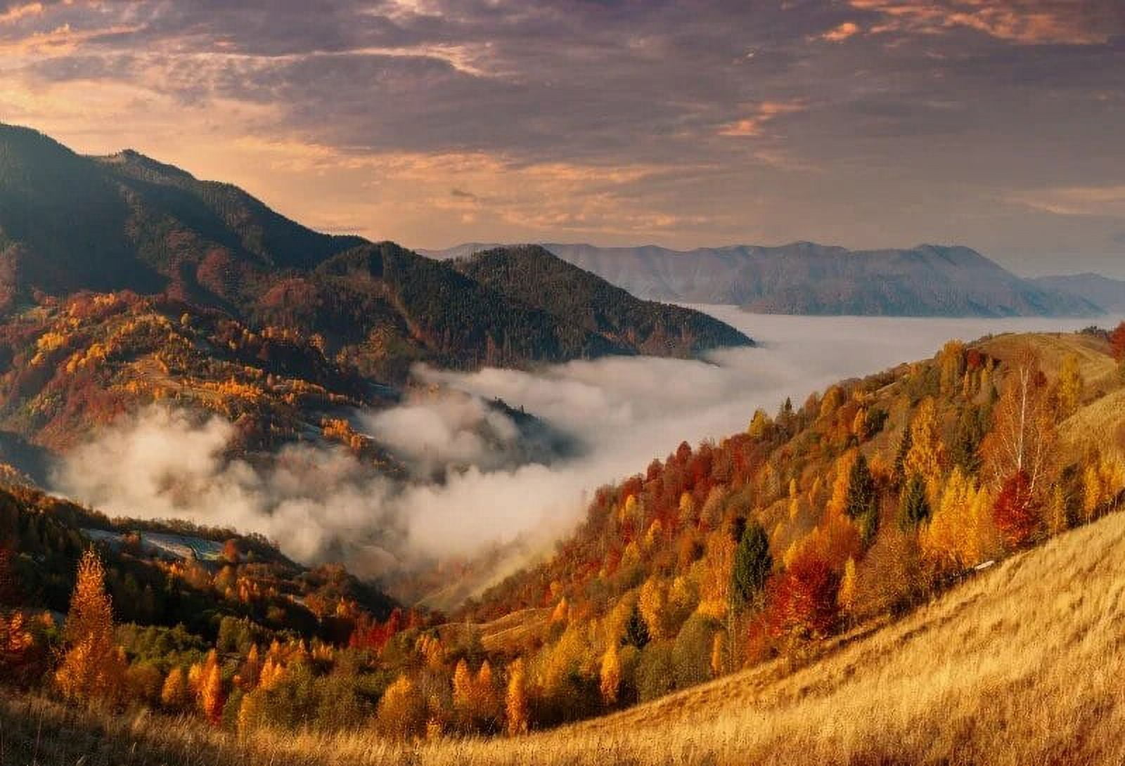 Autumn Scenery Mountain Photography Backdrop Sunrise Fall Woods ...