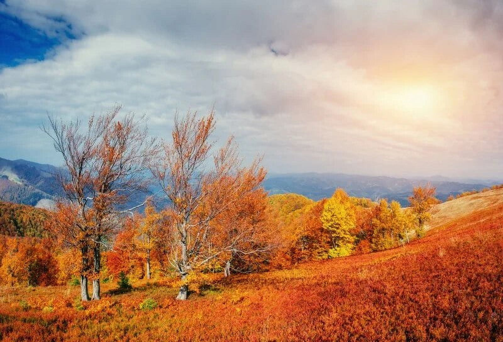 Autumn Scenery Mountain Photography Backdrop Sunrise Fall Woods ...