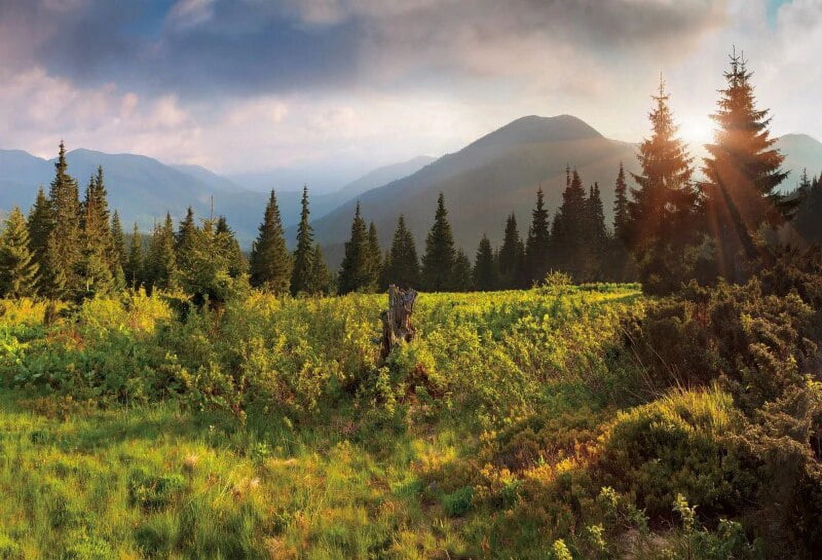 Autumn Scenery Mountain Photography Backdrop Sunrise Fall Woods ...