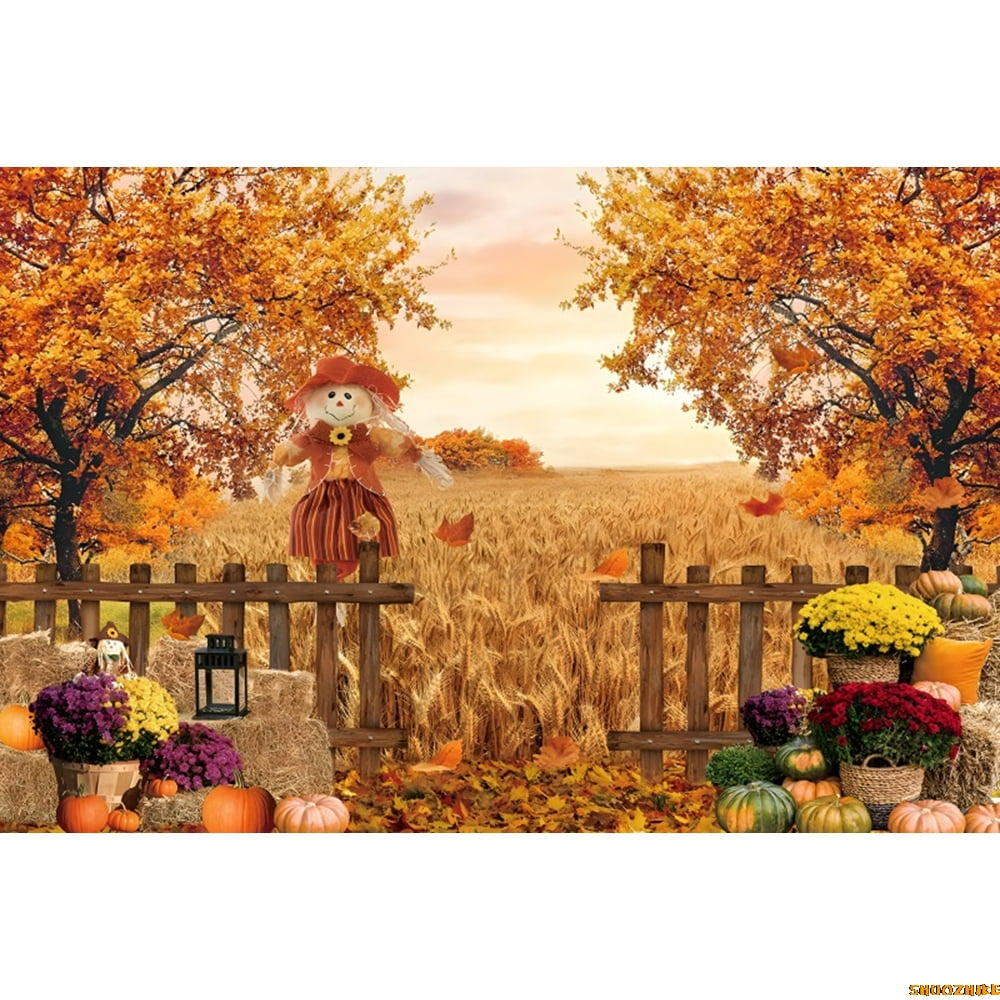 Autumn Scery Farm Warehouse Haystack Barn Newborn Kids Portrait ...