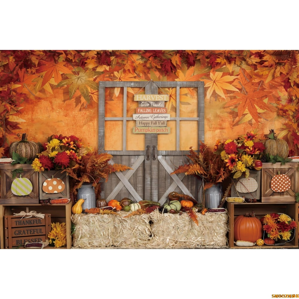 Autumn Scery Farm Warehouse Haystack Barn Newborn Kids Portrait ...