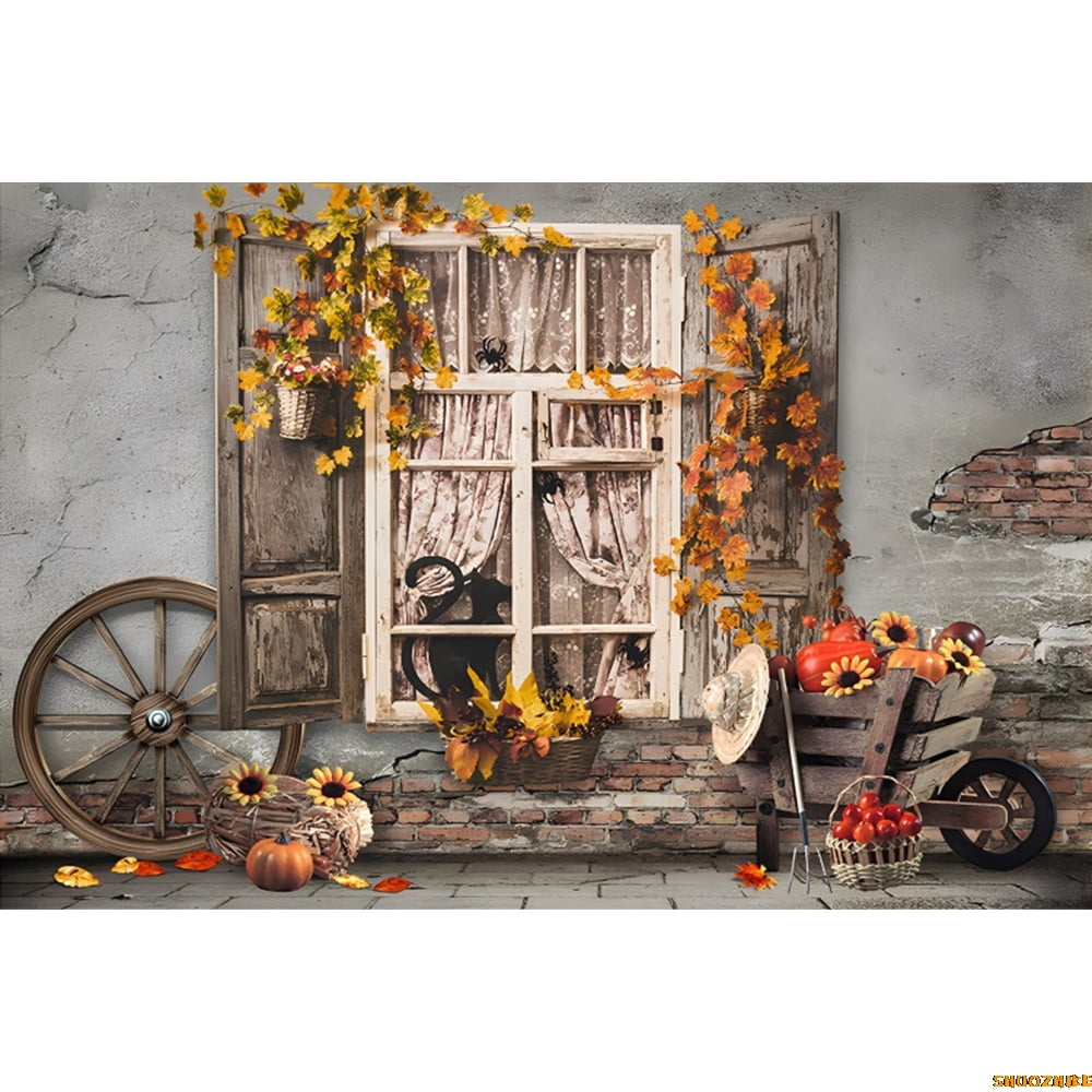 Autumn Scery Farm Warehouse Haystack Barn Newborn Kids Portrait ...