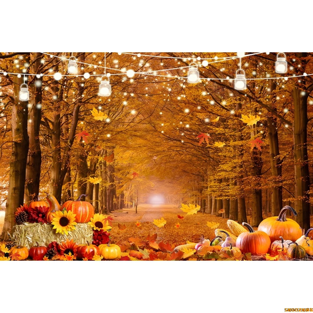 Autumn Scery Farm Warehouse Haystack Barn Newborn Kids Portrait ...