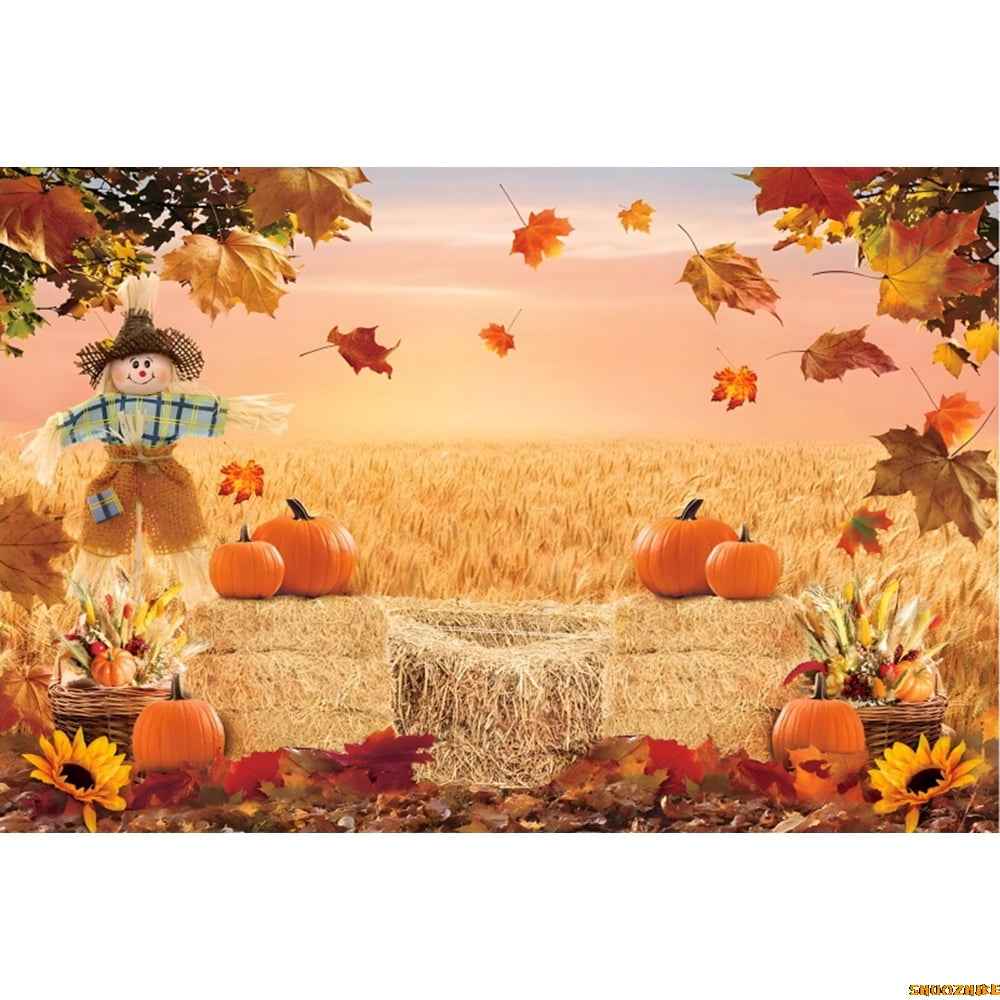 Autumn Scery Farm Warehouse Haystack Barn Newborn Kids Portrait ...