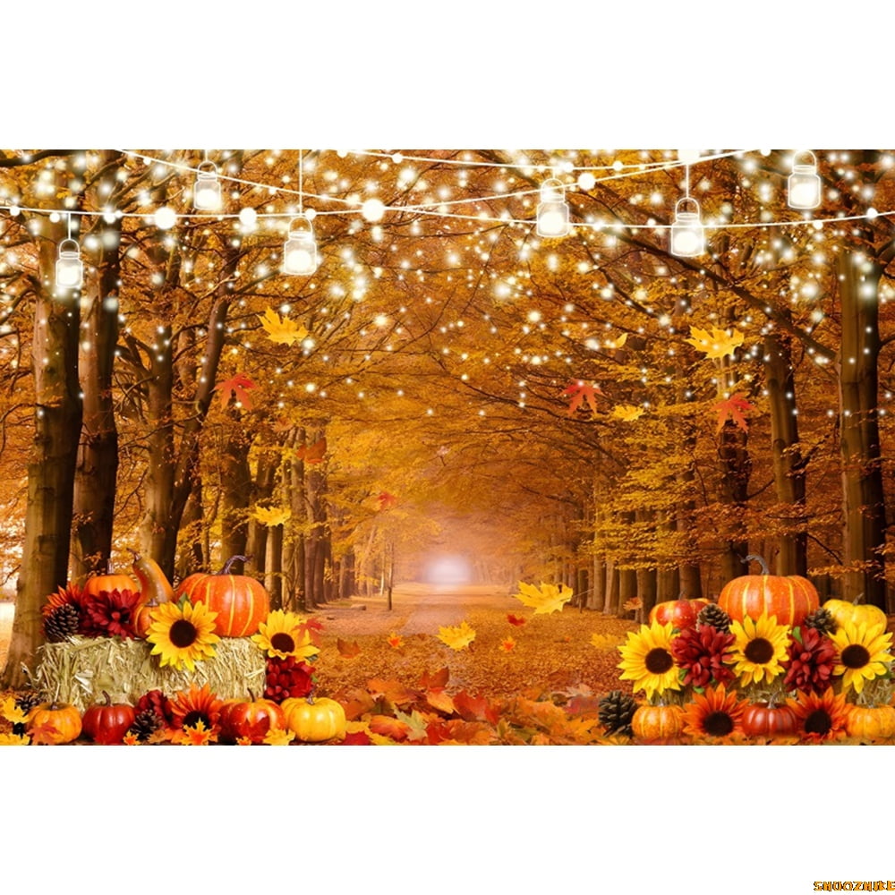 Autumn Scery Farm Warehouse Haystack Barn Newborn Kids Portrait ...