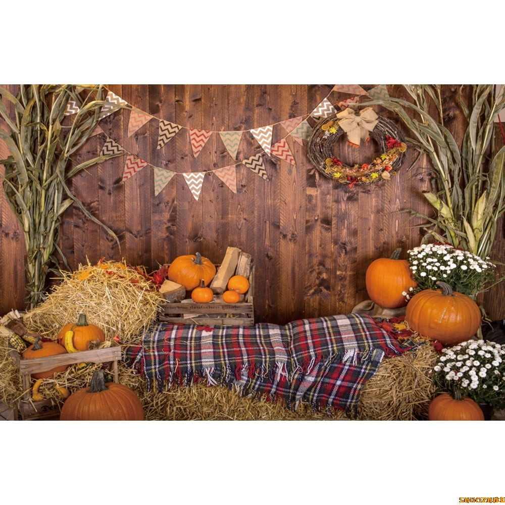 Autumn Scery Farm Warehouse Haystack Barn Newborn Kids Portrait ...
