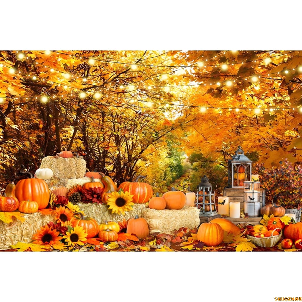 Autumn Scery Farm Warehouse Haystack Barn Newborn Kids Portrait ...