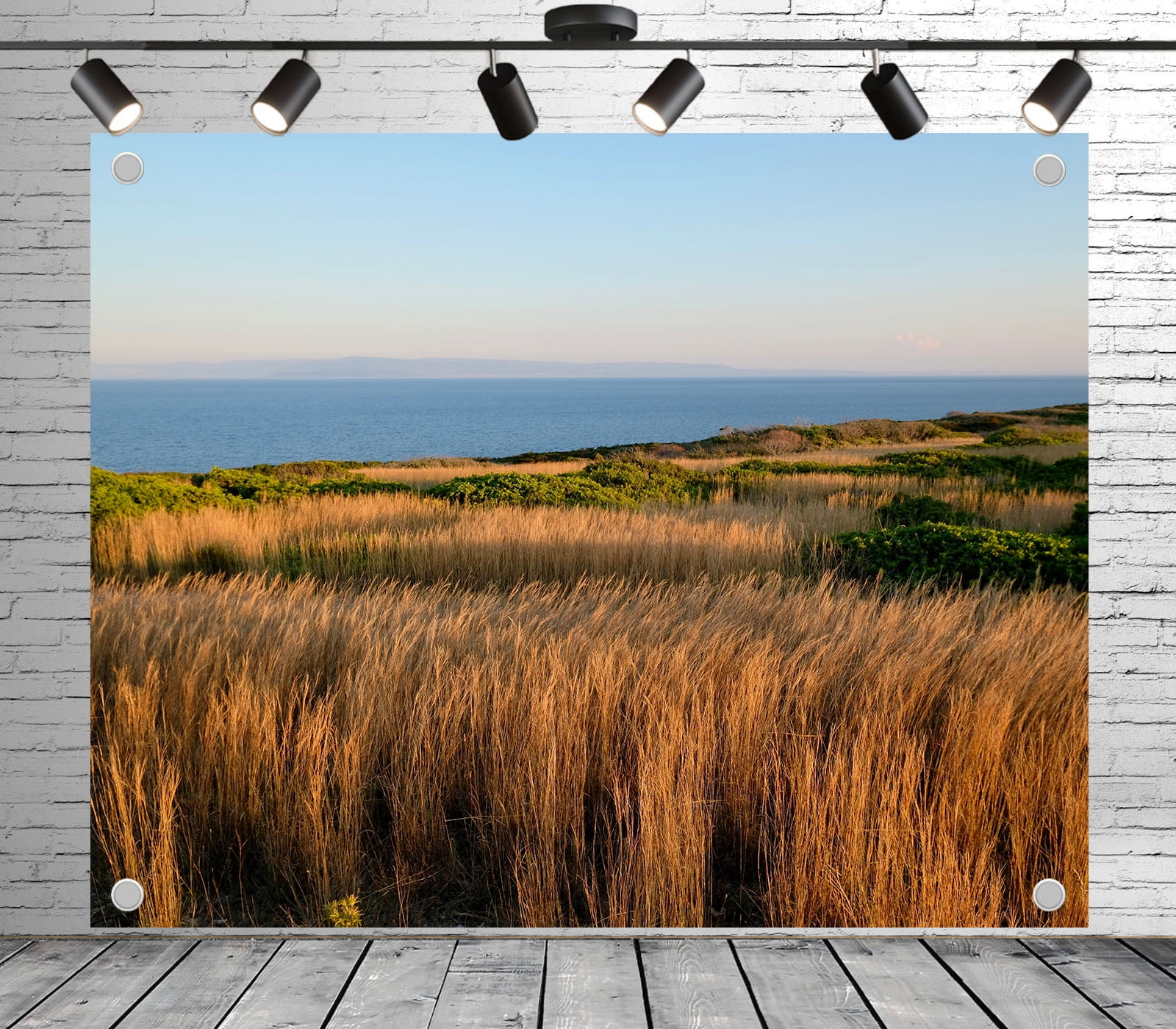 Autumn Seaside wilderness Backdrop | Polyester Fabric Banners ...