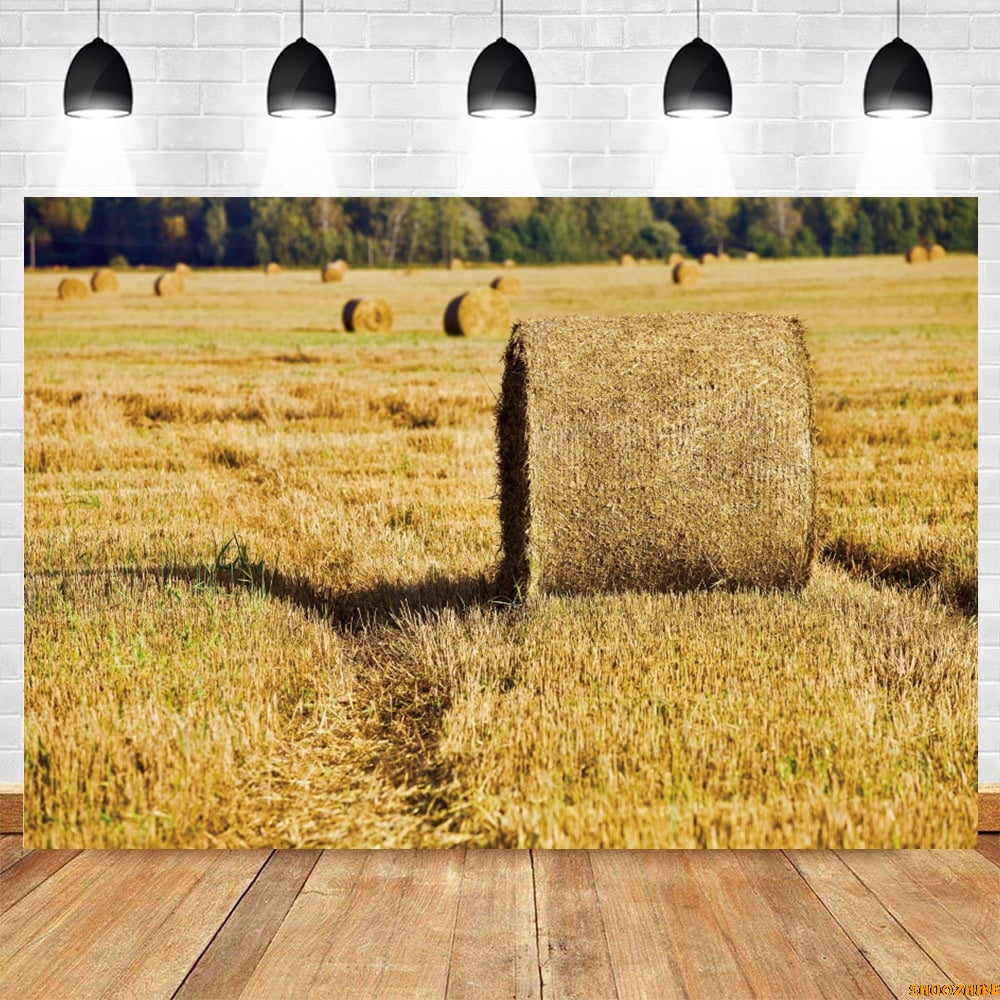 Autumn Sunshine Wheat Fields Backdrop for Photography Fall Farm Harvest ...