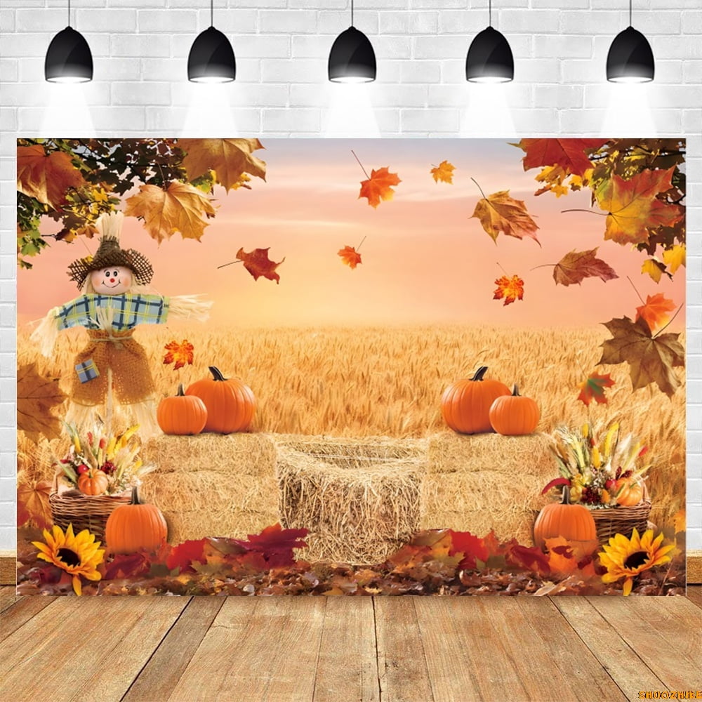 Autumn Sunshine Wheat Fields Backdrop for Photography Fall Farm Harvest ...