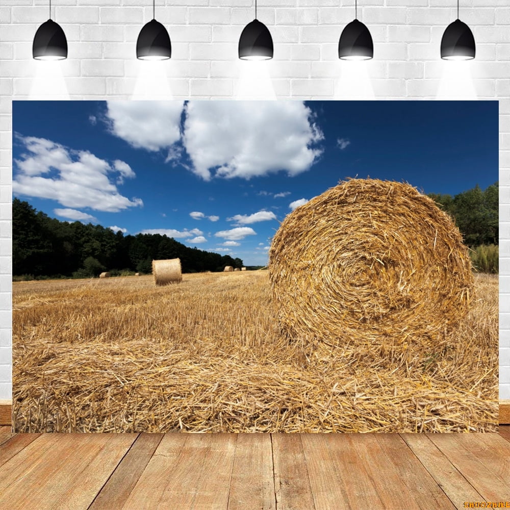 Autumn Sunshine Wheat Fields Backdrop for Photography Fall Farm Harvest ...