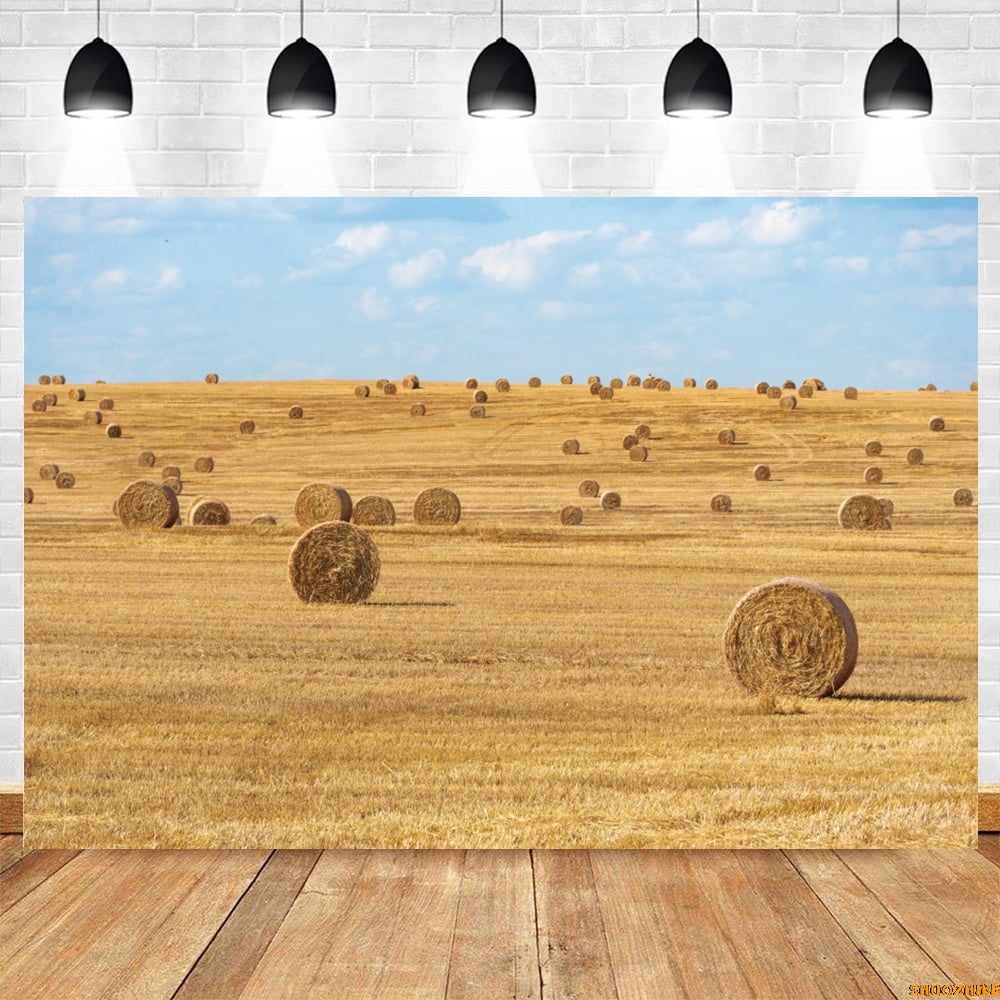 Autumn Sunshine Wheat Fields Backdrop for Photography Fall Farm Harvest ...