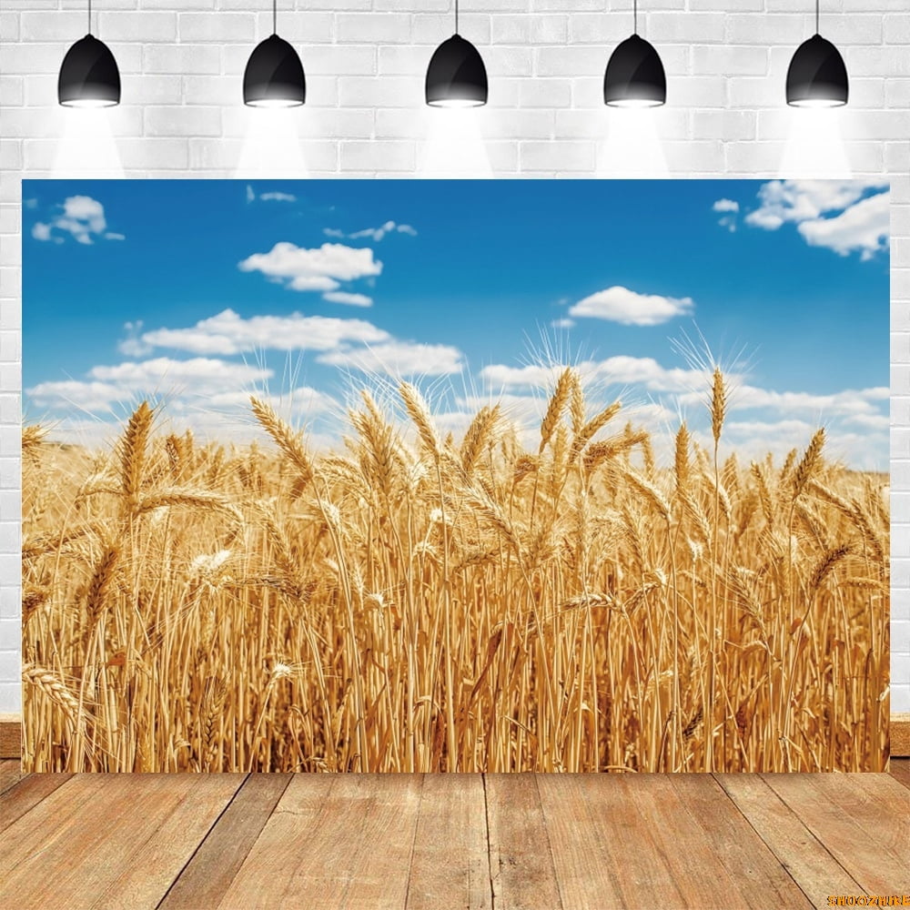 Autumn Sunshine Wheat Fields Backdrop for Photography Fall Farm Harvest ...