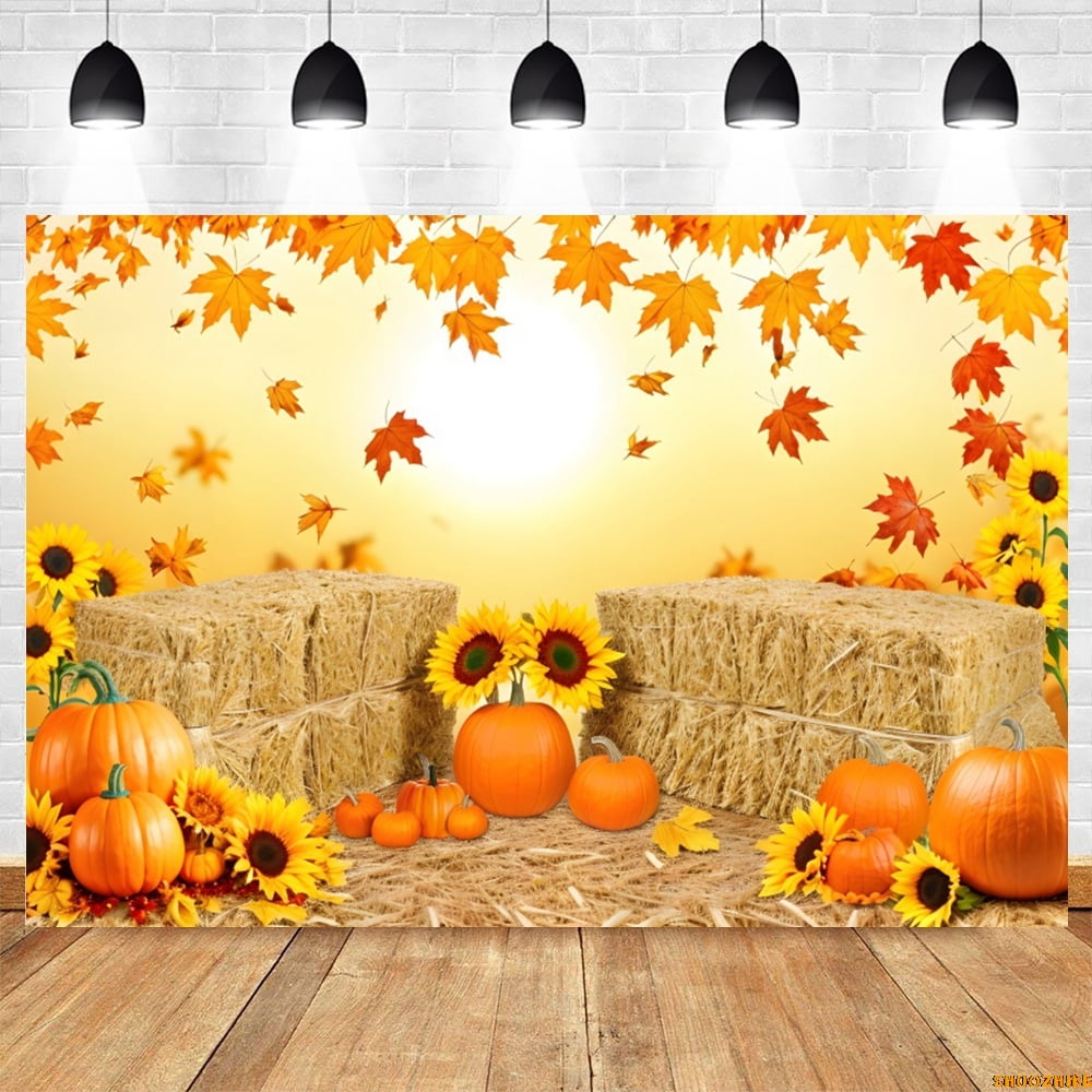 Autumn Sunshine Wheat Fields Backdrop for Photography Fall Farm Harvest ...