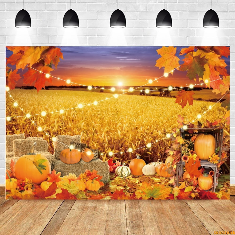 Autumn Sunshine Wheat Fields Backdrop for Photography Fall Farm Harvest ...