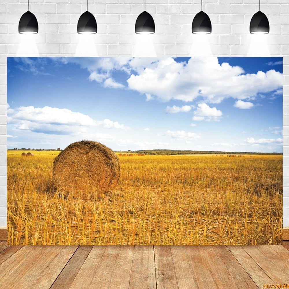 Autumn Sunshine Wheat Fields Backdrop for Photography Fall Farm Harvest ...