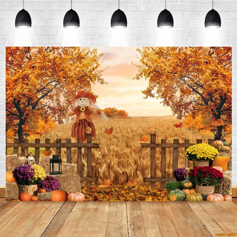 Autumn Sunshine Wheat Fields Backdrop for Photography Fall Farm Harvest ...