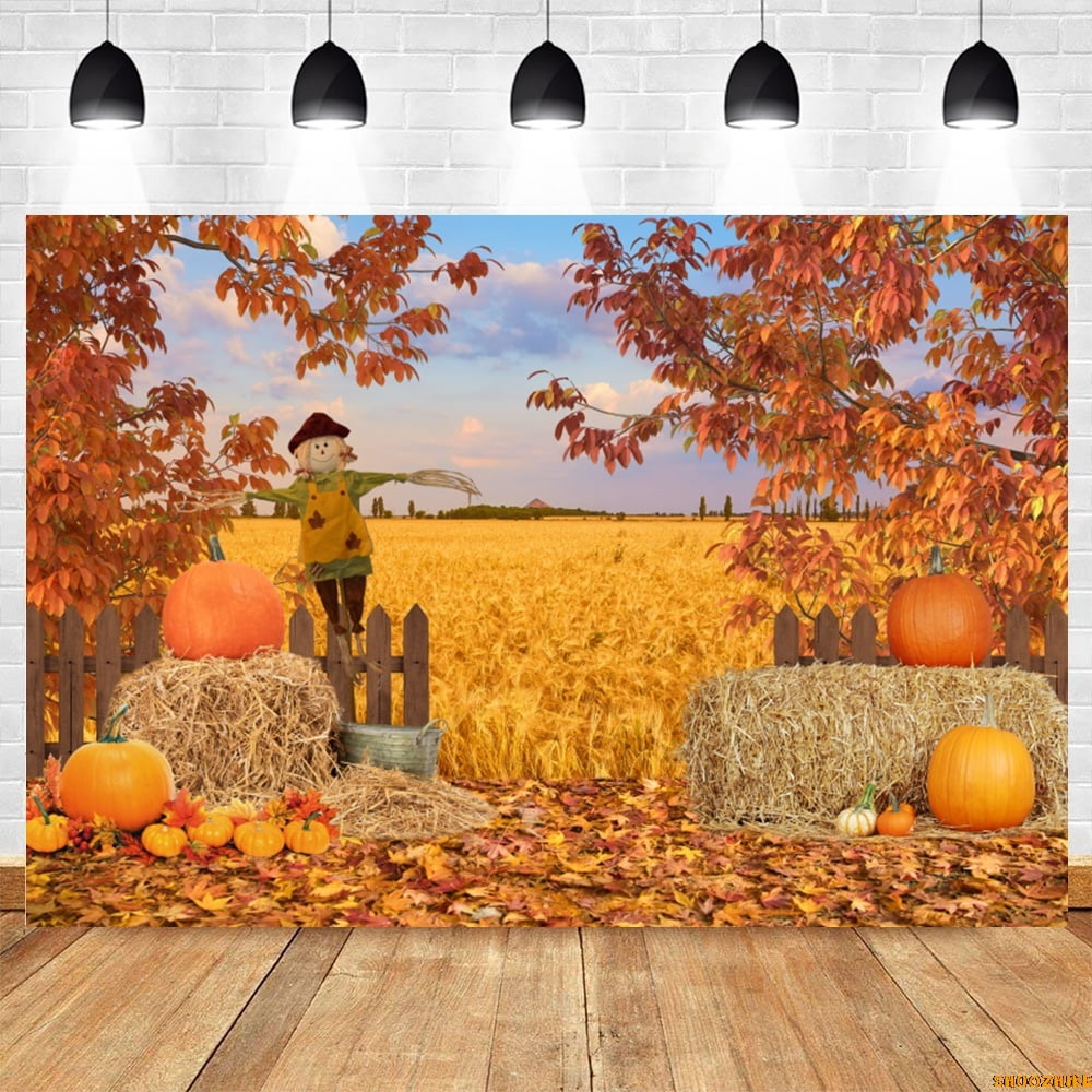 Autumn Sunshine Wheat Fields Backdrop for Photography Fall Farm Harvest ...