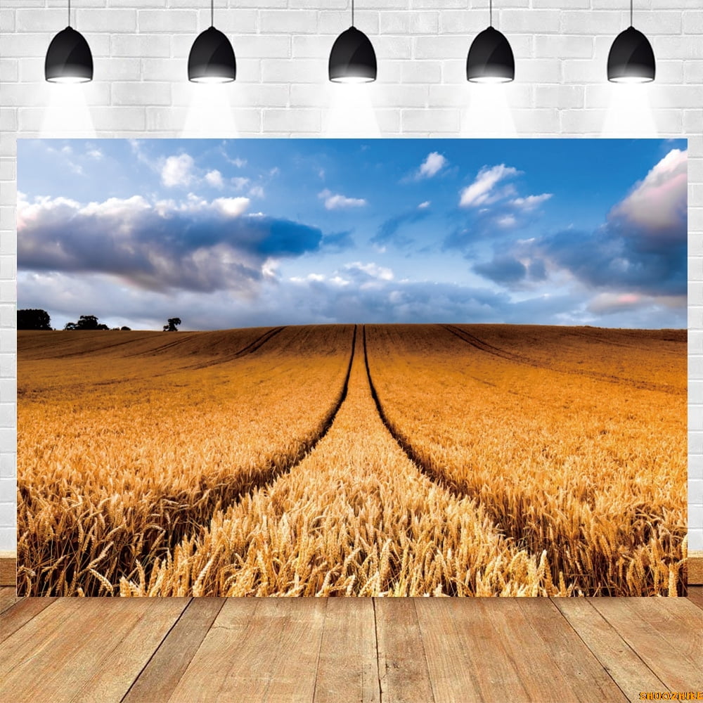 Autumn Sunshine Wheat Fields Backdrop for Photography Fall Farm Harvest ...