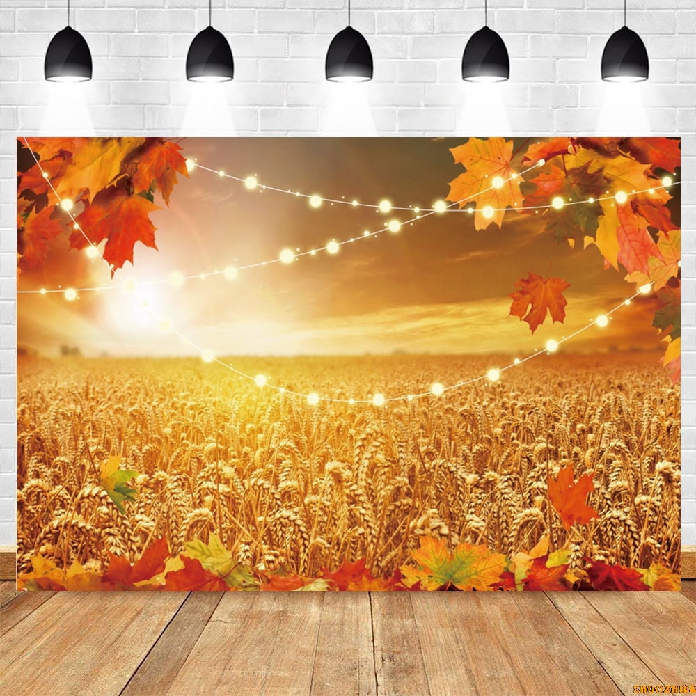 Autumn Sunshine Wheat Fields Backdrop for Photography Fall Farm Harvest ...