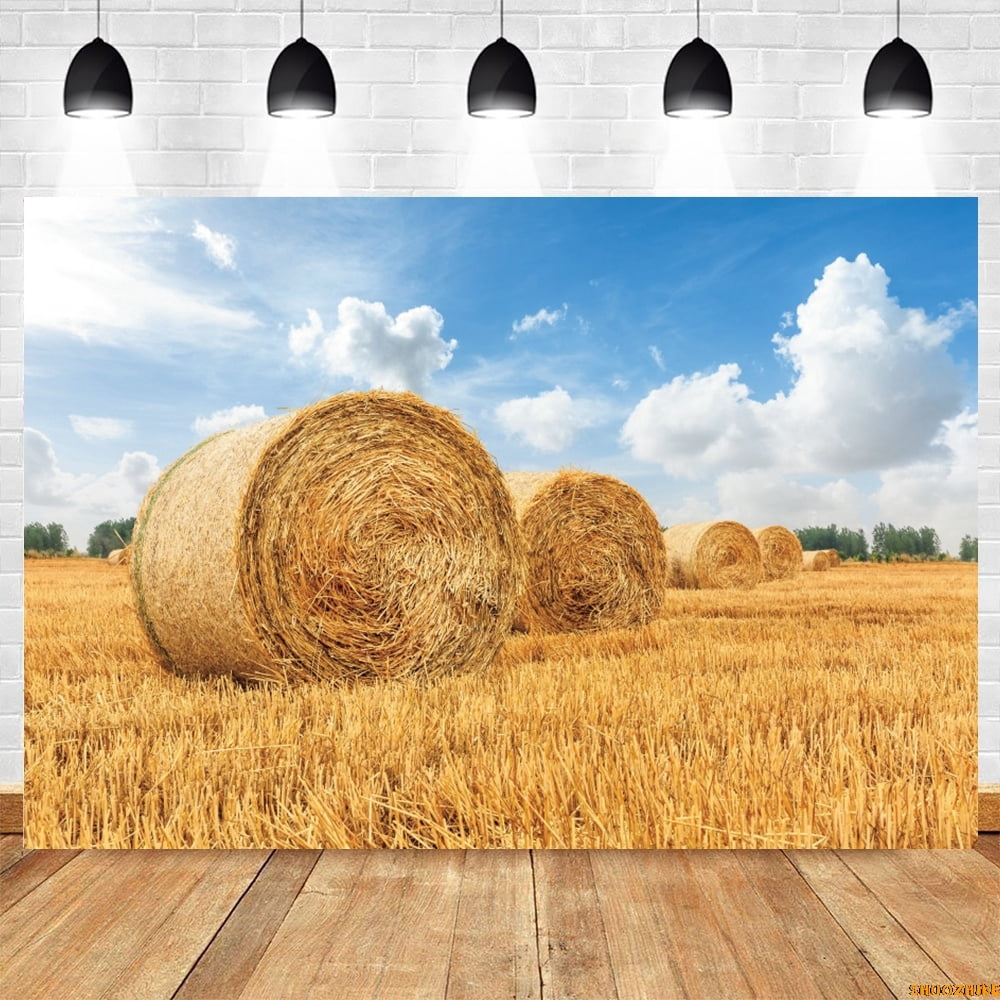 Autumn Sunshine Wheat Fields Backdrop for Photography Fall Farm Harvest ...