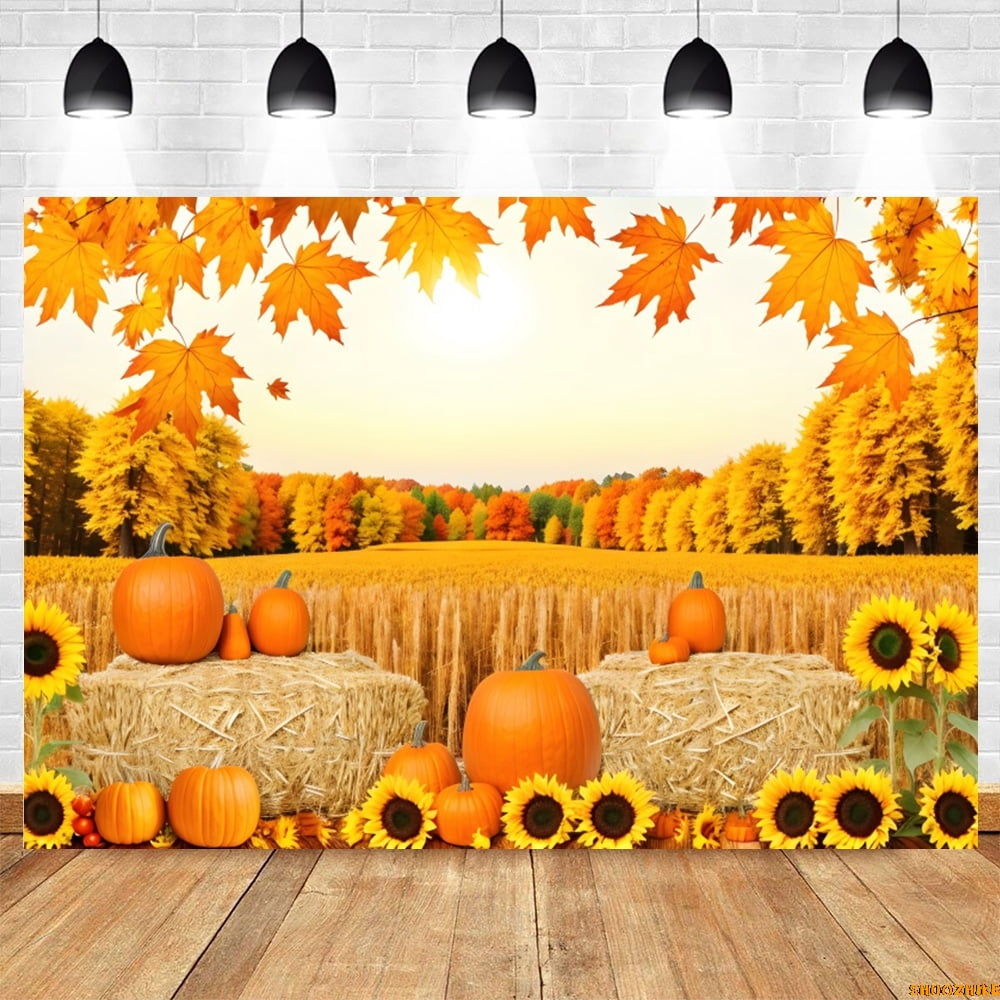 Autumn Sunshine Wheat Fields Backdrop for Photography Fall Farm Harvest ...