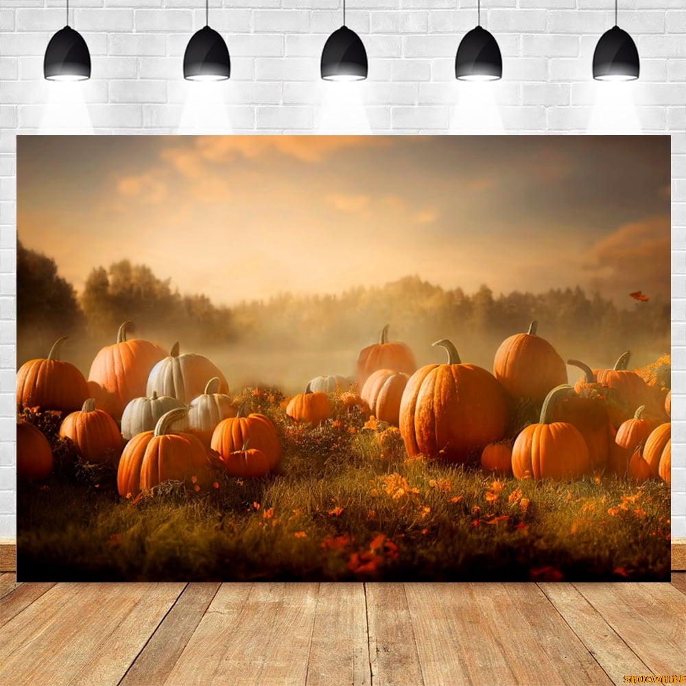 Autumn Sunshine Wheat Fields Backdrop for Photography Fall Farm Harvest ...