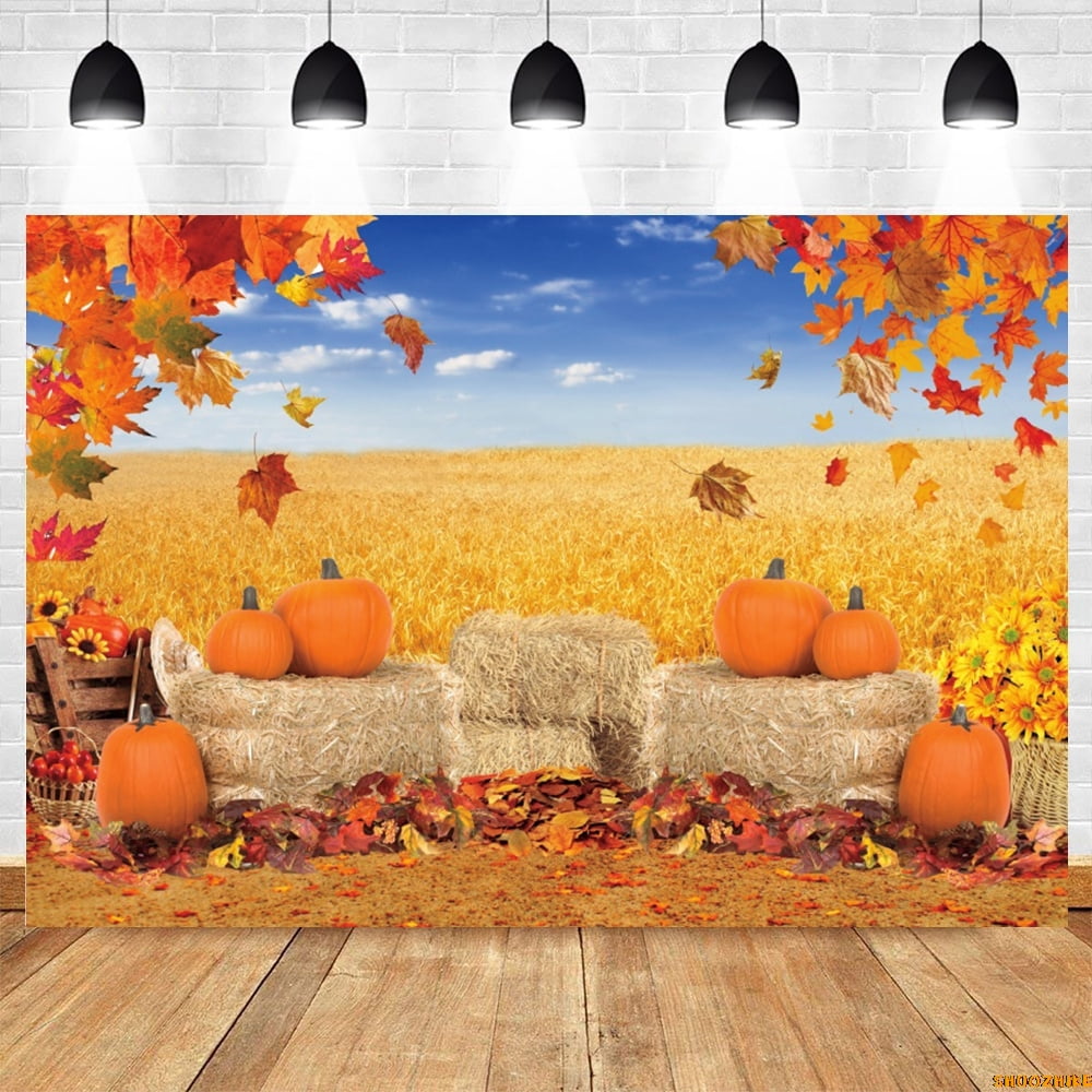 Autumn Sunshine Wheat Fields Backdrop for Photography Fall Farm Harvest ...