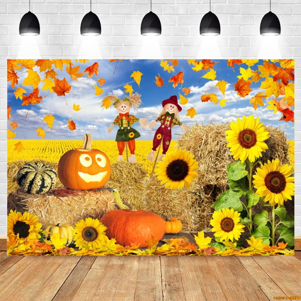 Autumn Sunshine Wheat Fields Backdrop for Photography Fall Farm Harvest ...