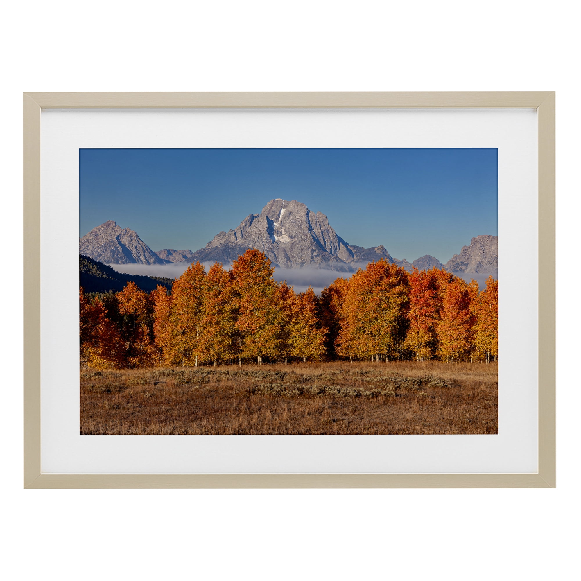 Autumn Tree Line With Mountain Birch Framed Print Under Glass, design ...