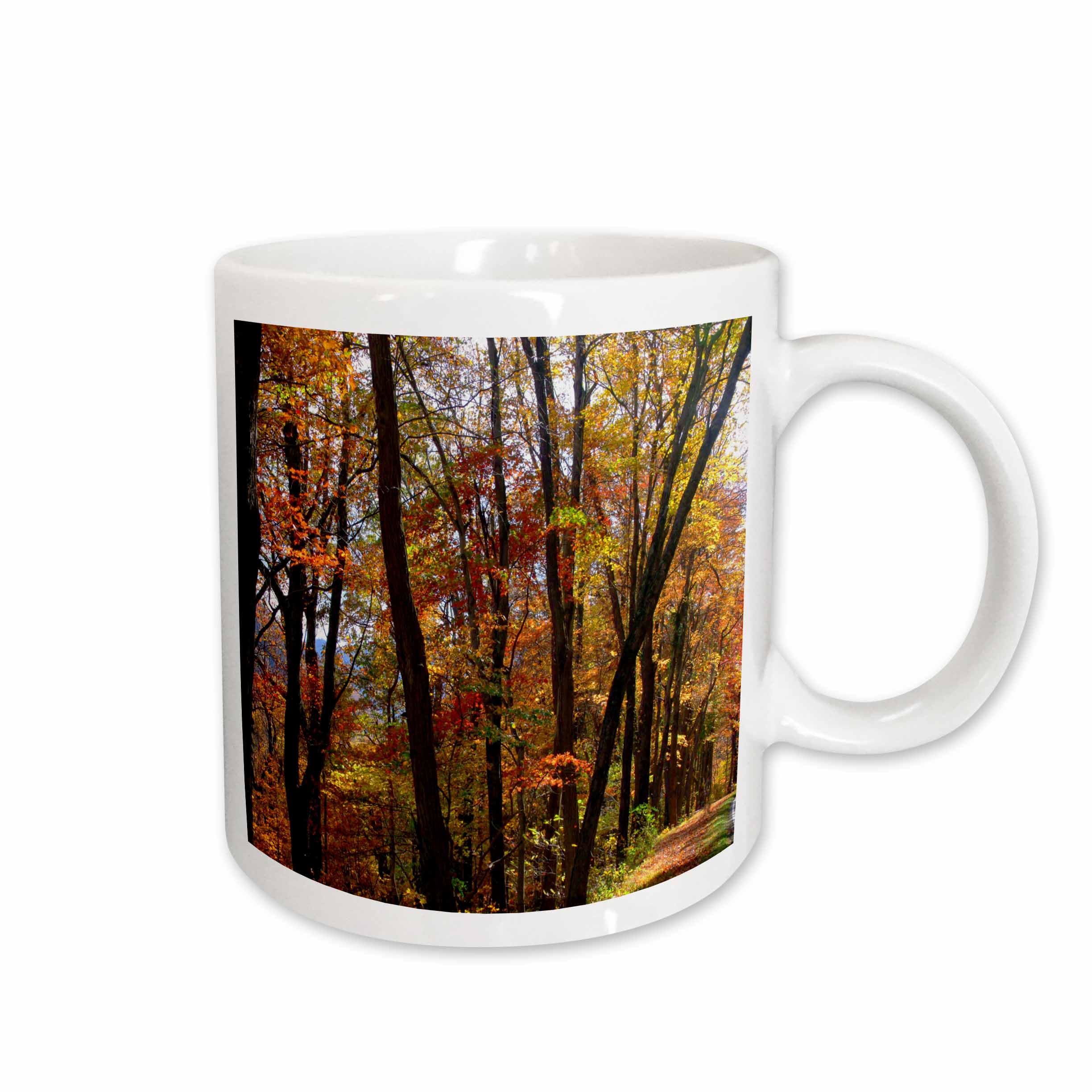 3drose, Autumn Trees, Dark Tree Trunks Highlighted by Golden, Russet ...
