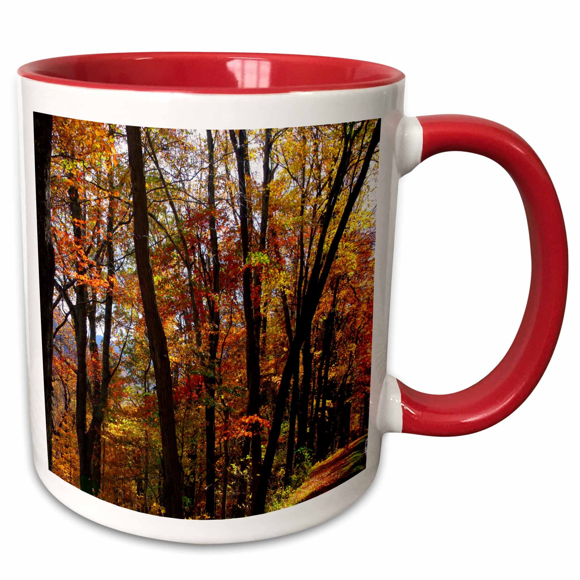 3drose, Autumn Trees, Dark Tree Trunks Highlighted by Golden, Russet ...