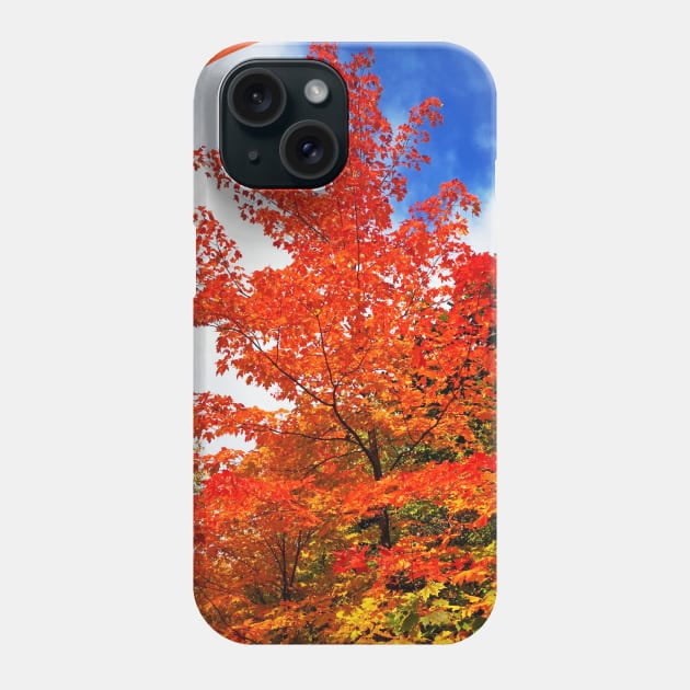 Autumn Trees Indian Summer Fall in Canada Compatible Phone Case for ...
