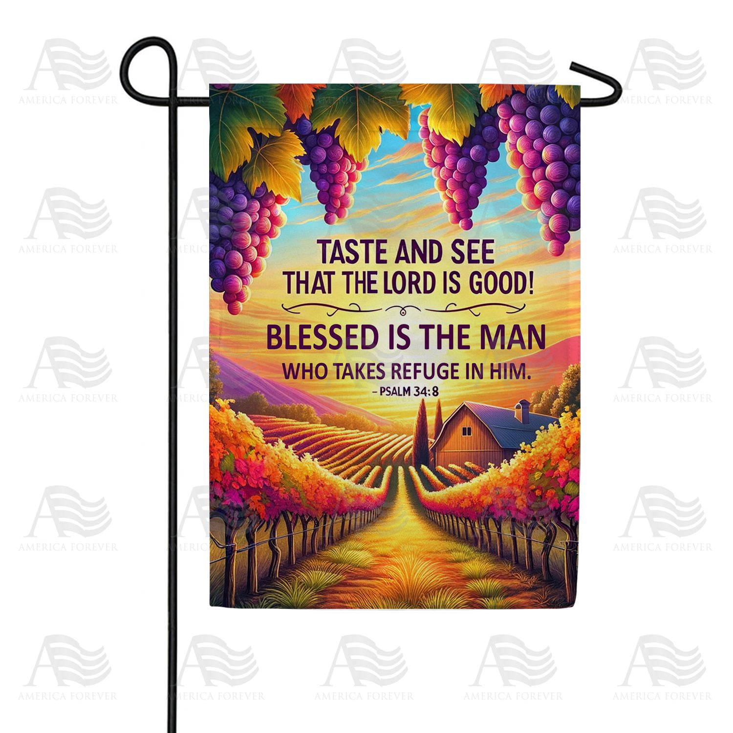 Autumn Vineyard Inspirational Verse Beautiful Wine Country Faith ...