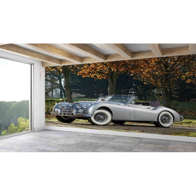 Autumn Wall Mural, Custom Wallpaper, Old Jaguar Wall Poster, Modern ...