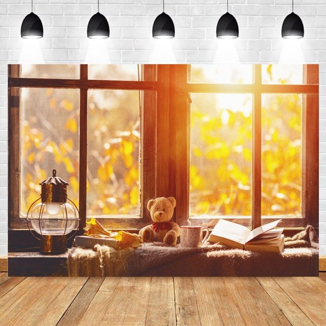 Autumn Window Interior Newborn Baby Portrait Backdrop Vinyl Photography ...