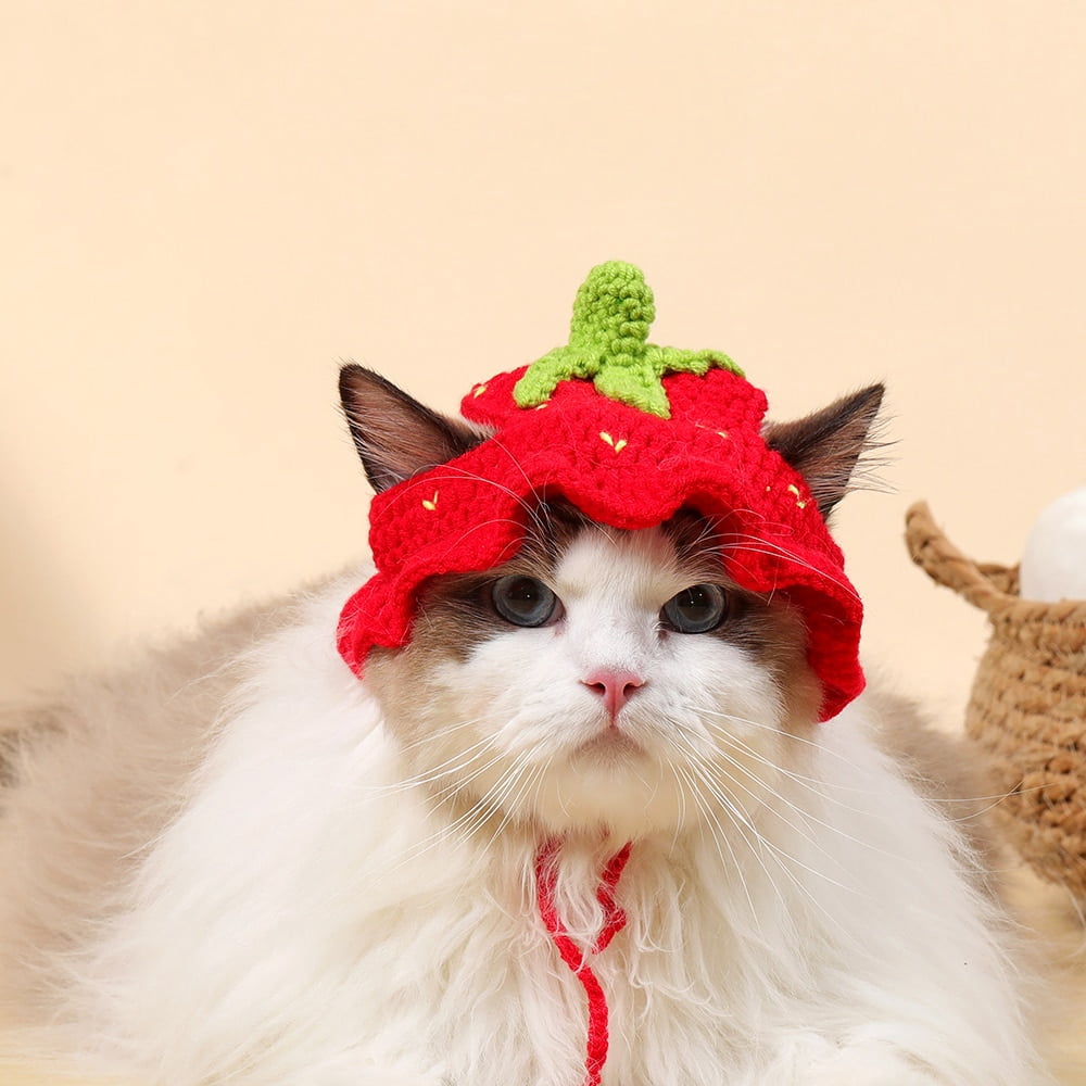 Autumn Winter cat hat elastic cute refined pet hat puppy kittens ...